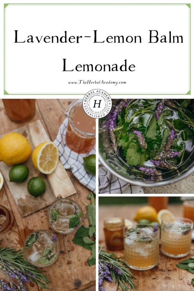 Lavender-Lemon Balm Lemonade – Herbal Academy