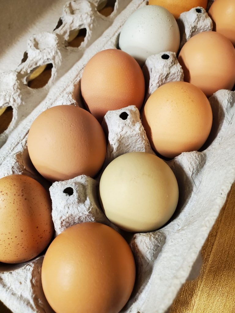 Herbal Academy Student Feature: Erin Ethier (@earthlyremediesbyerin ...