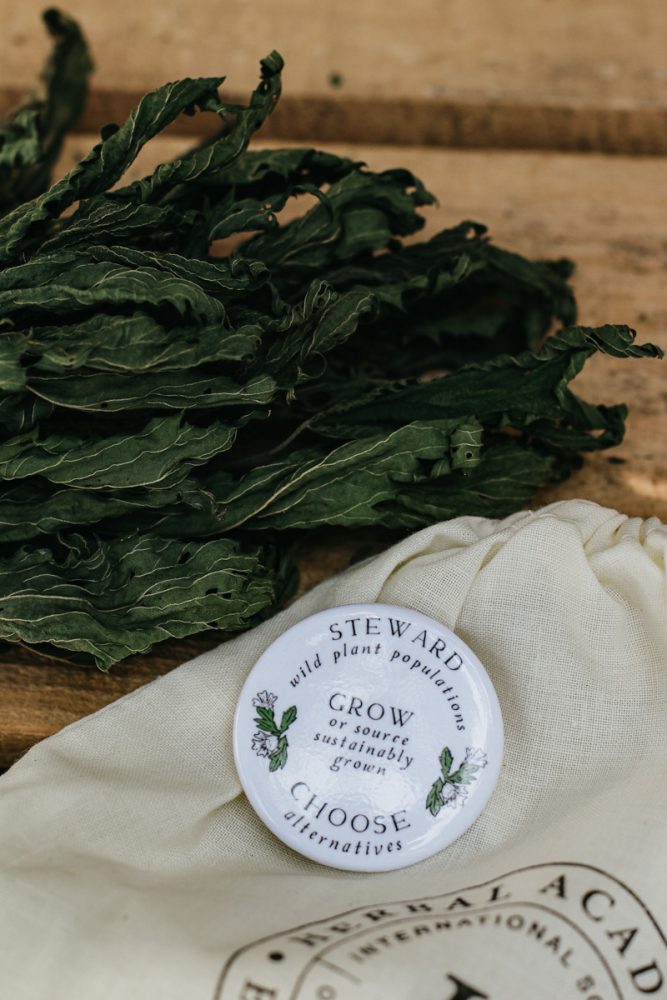 Plant Steward Pin – Herbal Academy