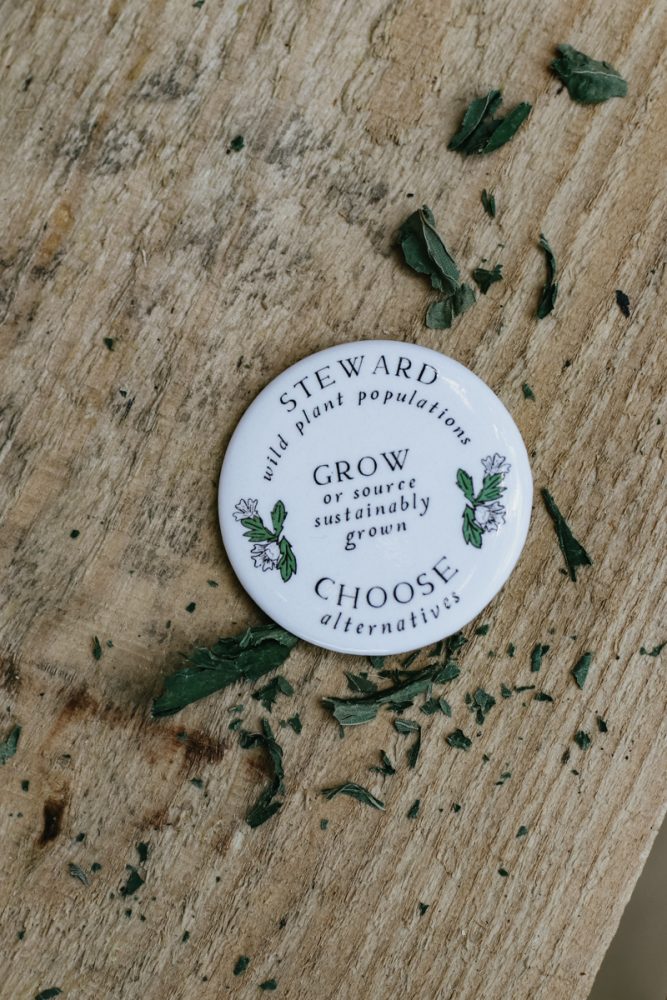 Plant Steward Pin – Herbal Academy