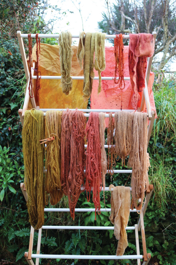 How to Use Dye Plants: Plant Projects for the Home – Herbal Academy