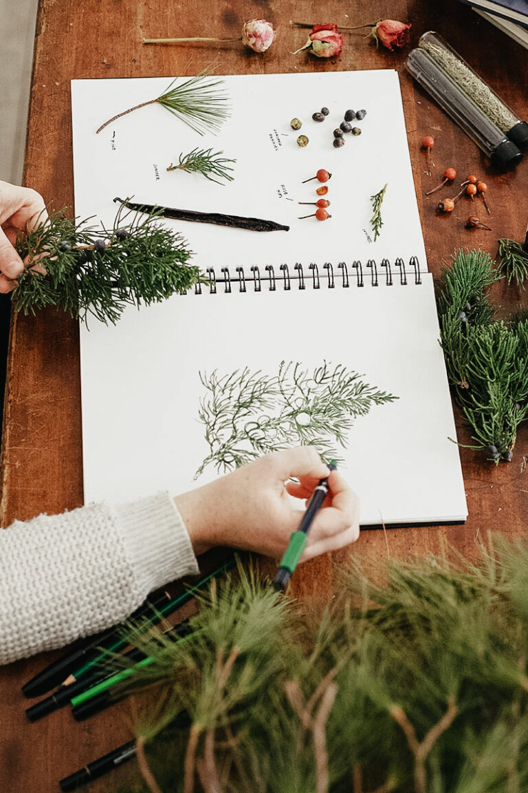 Botany & Wildcrafting Course – Herbal Academy