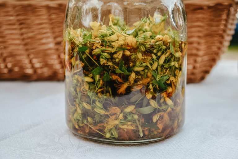 The Foraging Course – Herbal Academy