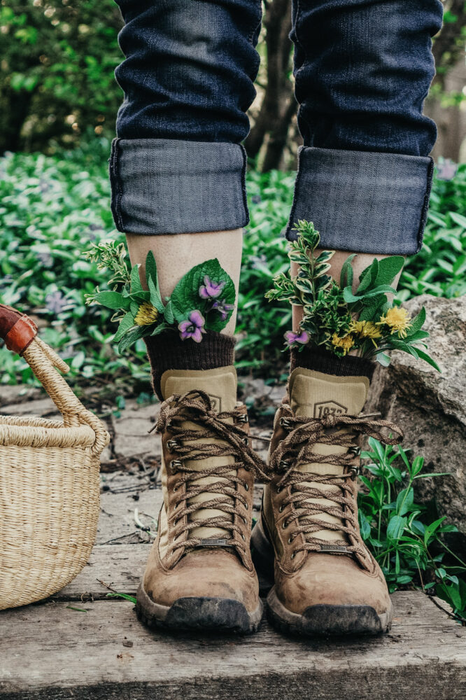 The Foraging Course – Herbal Academy
