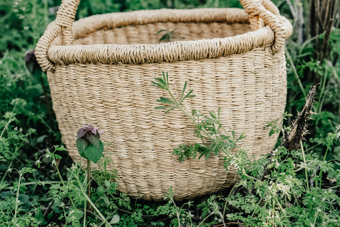 The Foraging Course – Herbal Academy
