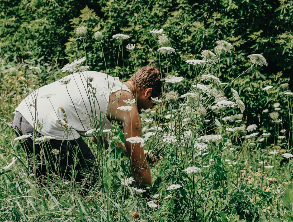 The Foraging Course – Herbal Academy