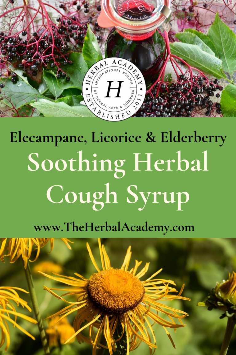 Soothing Herbal Cough Syrup with Elderberry, Elecampane, & Licorice ...