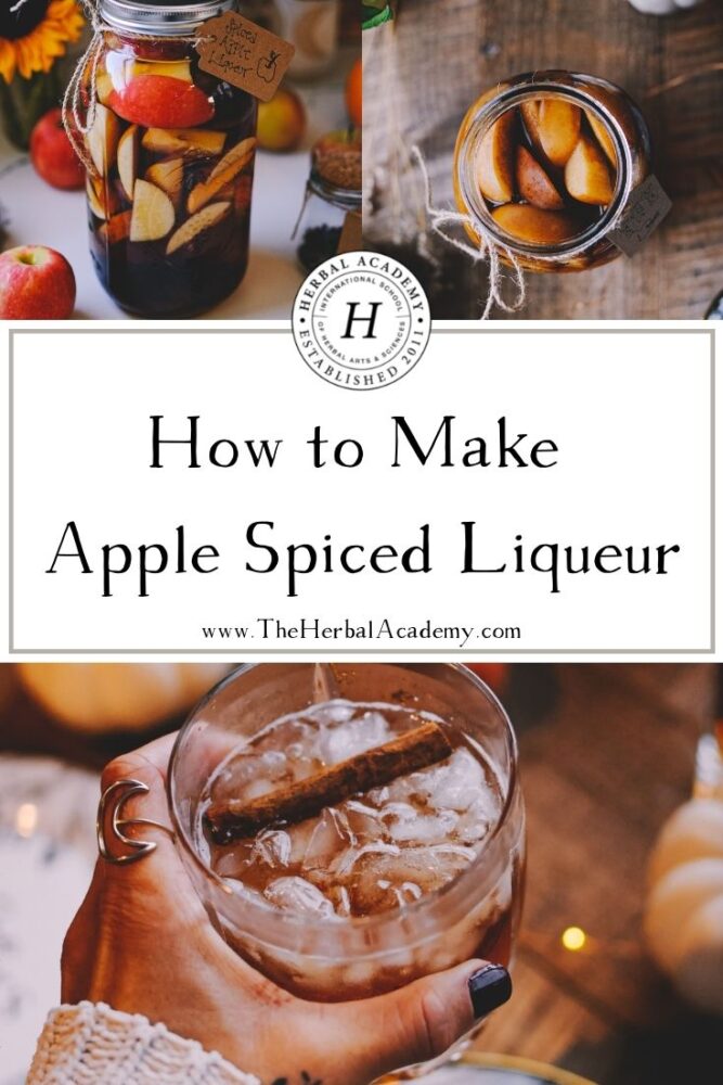 How to Make Apple Spiced Liqueur – Herbal Academy