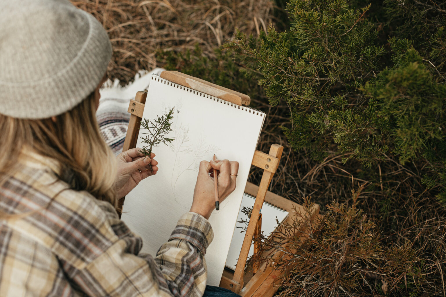 Botanical Drawing for Herbalists Course – Herbal Academy