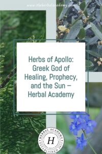 Herbs of Apollo: Greek God of Healing, Prophecy, and the Sun – Herbal ...