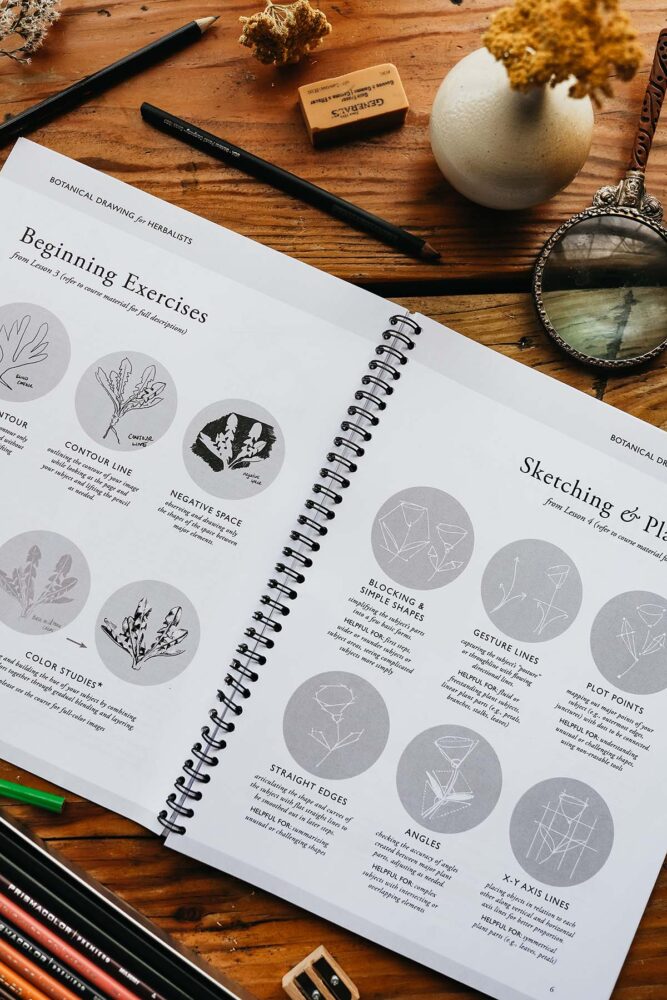 Botanical Sketchbook