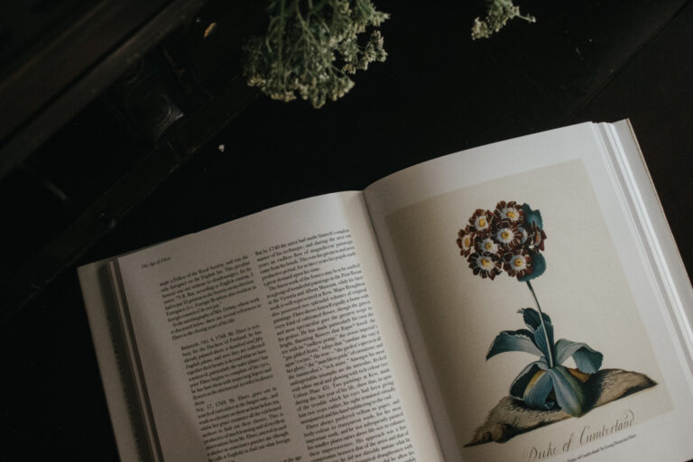3 Best Botanical Illustration Books to Inspire Your Studies – Herbal ...