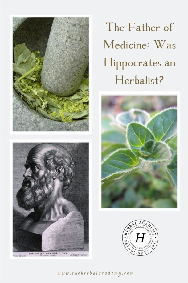 The Father of Medicine: Was Hippocrates an Herbalist? – Herbal Academy