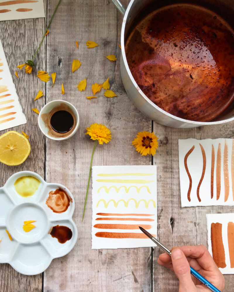 How to Make Oak Gall and Coreopsis Botanical Paint with Rebecca Desnos ...