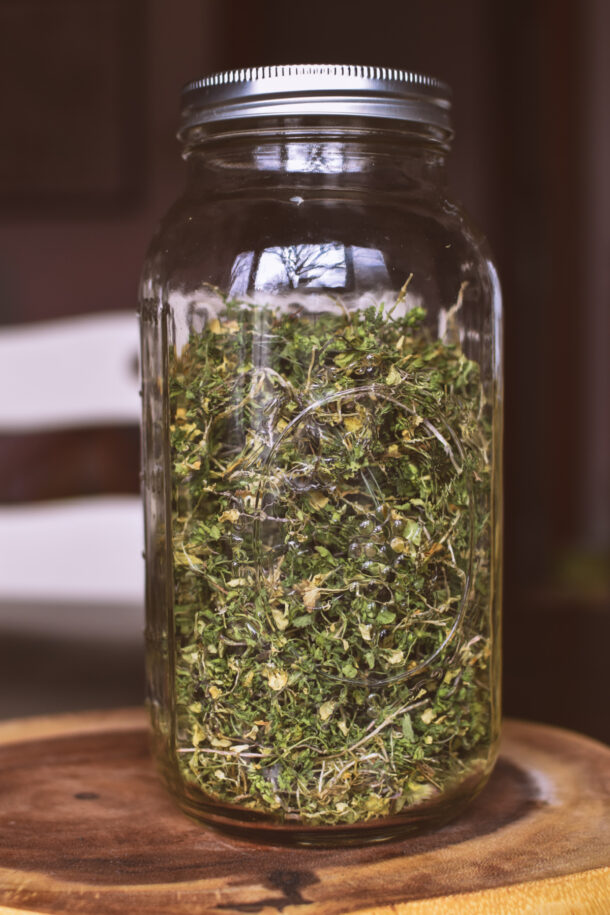 DIY Foraged Chickweed Salve – Herbal Academy