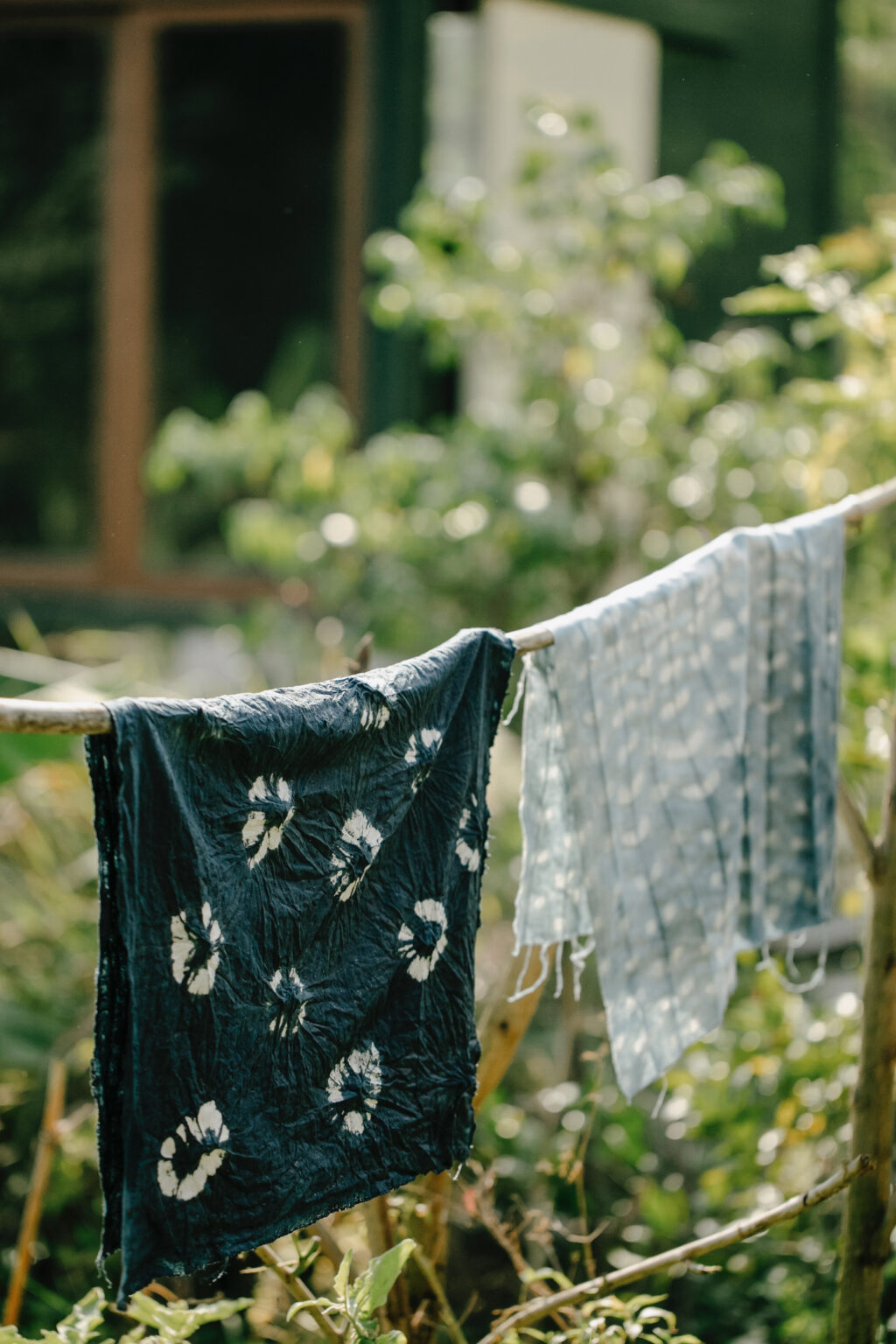 Natural Dyes Workshop - Herbal Academy