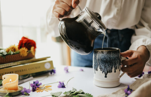 Herbal Summer Workshop Bundle – Herbal Academy (Online Courses)