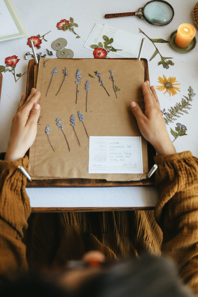Flower Pressing for Herbalists Workshop - Herbal Academy