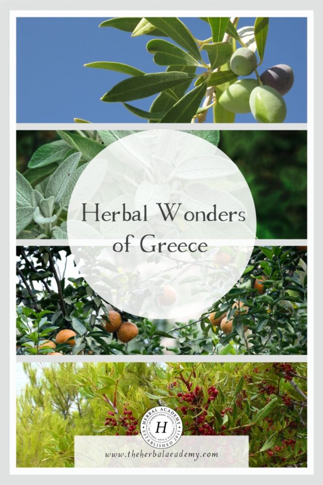Herbal Wonders of Greece – Herbal Academy