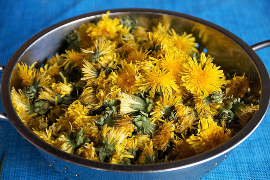 How to Make Easy and Delicious Dandelion Fritters – Herbal Academy