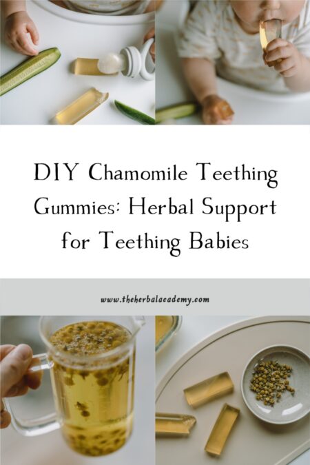 DIY Chamomile Teething Gummies: Herbal Support for Teething Babies ...