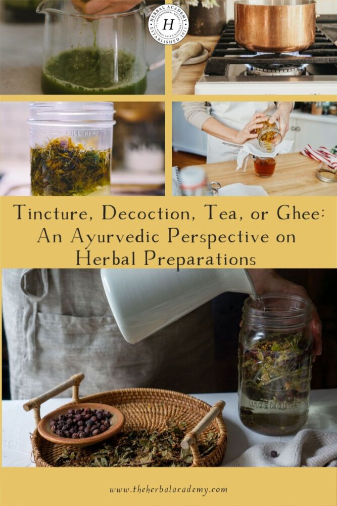 Tincture, Decoction, Tea, or Ghee: An Ayurvedic Perspective on Herbal Preparations – Herbal Academy