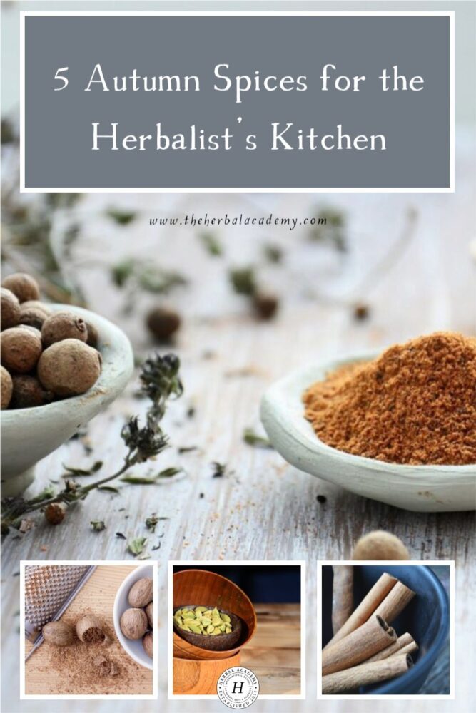 5 Autumn Spices for the Herbalist’s Kitchen – Herbal Academy