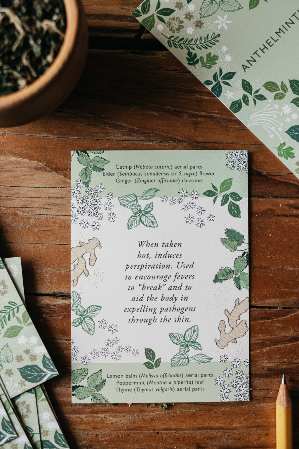 Herbal Actions Flashcards – Herbal Academy