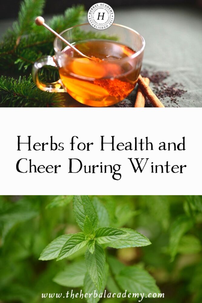 Herbs for Health and Cheer During Winter – Herbal Academy