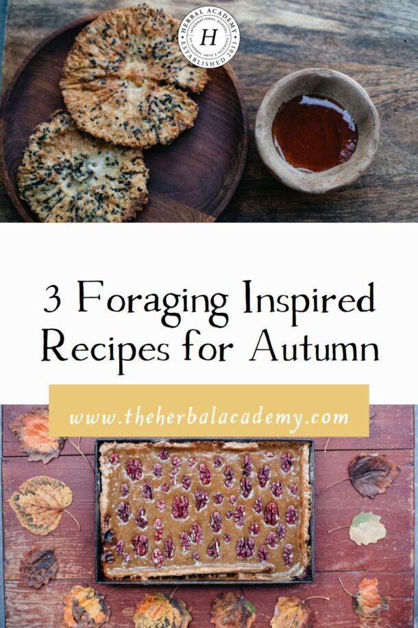 3 Foraging Inspired Recipes for Autumn – Herbal Academy