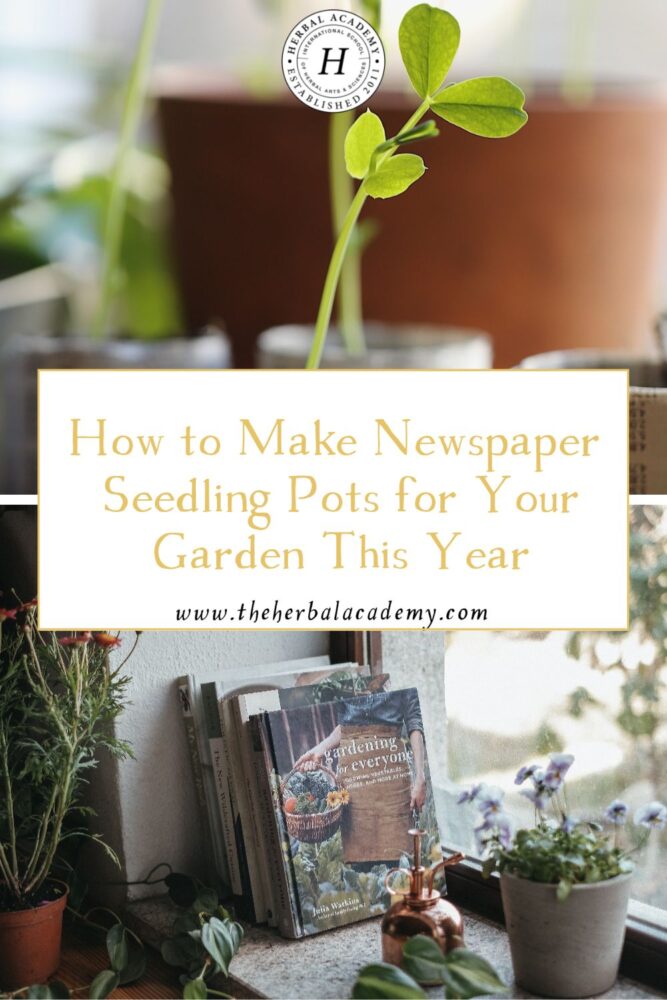 How to Make Newspaper Seedling Pots for Your Garden This Year – Herbal ...