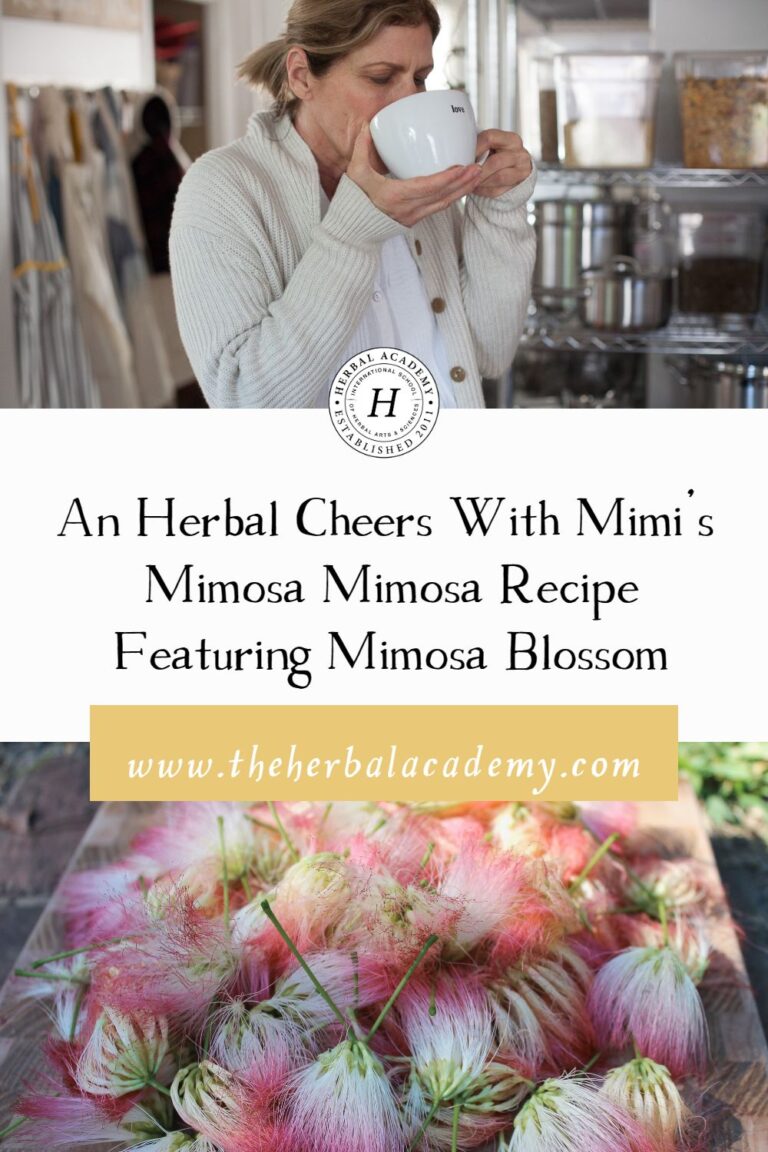 An Herbal Cheers With Mimi’s Mimosa Mimosa Recipe Featuring Mimosa ...