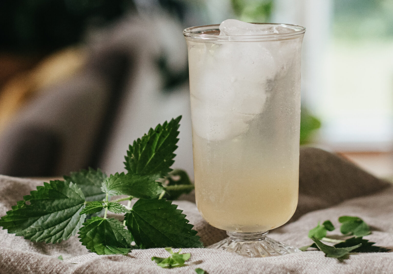 A Toast With Spring Sting Nettle Cocktail From the Botanical Mixed Drinks Recipe Book – Herbal ...