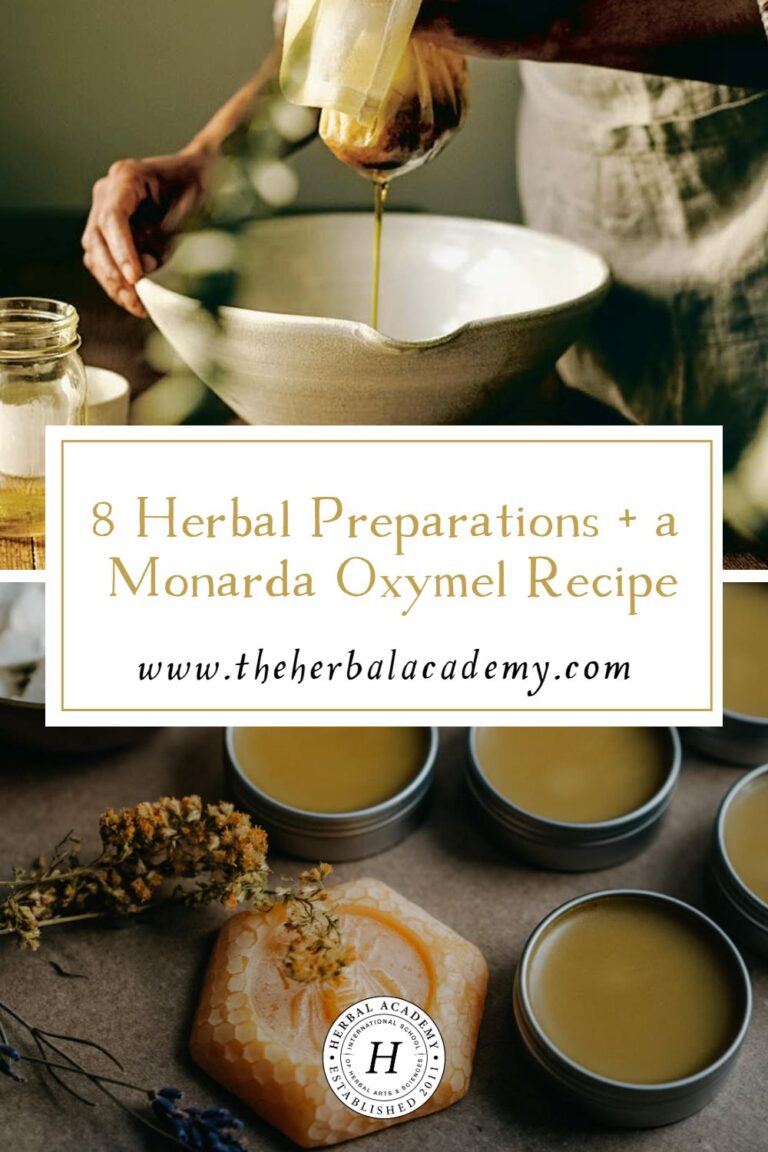 8 Herbal Preparations + a Monarda Oxymel Recipe – Herbal Academy