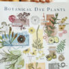 Botanical Dye Plants Poster – Herbal Academy