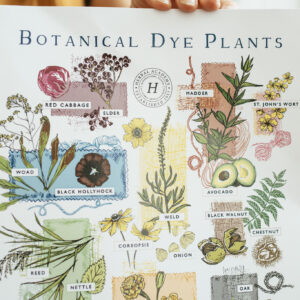 Botanical Dye Plants Poster – Herbal Academy