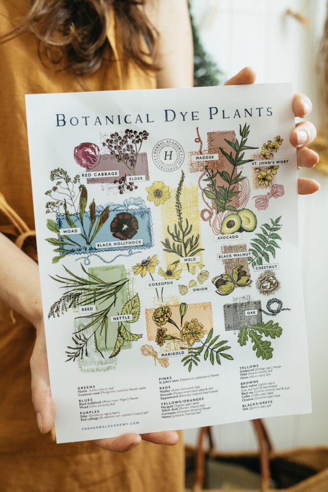 Botanical Dye Plants Poster – Herbal Academy