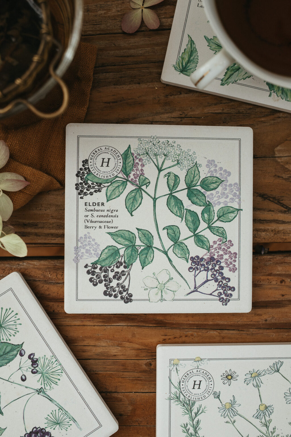 Ceramic Botanical Coasters – Herbal Academy