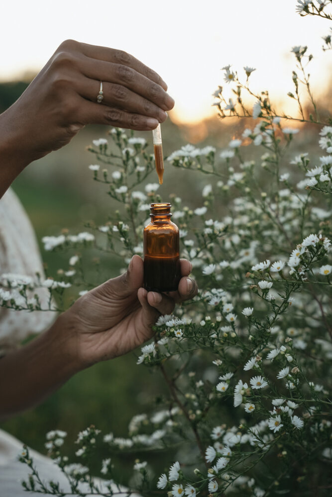 Tincture Making 101 Mini Course – Herbal Academy