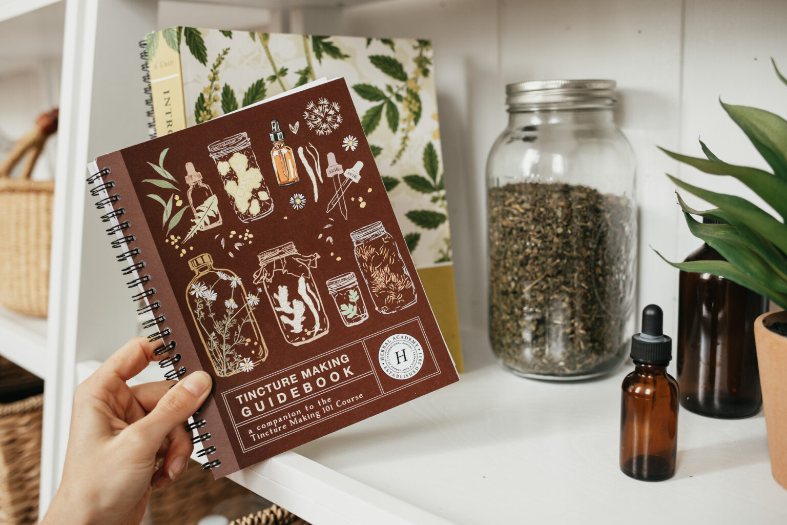 Tincture Making 101 Mini Course – Herbal Academy