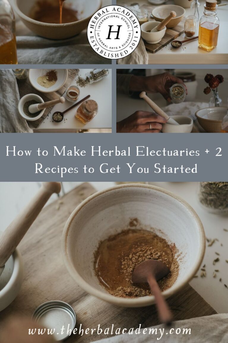 How to Make Herbal Electuaries + 2 Recipes to Get You Started – Herbal ...