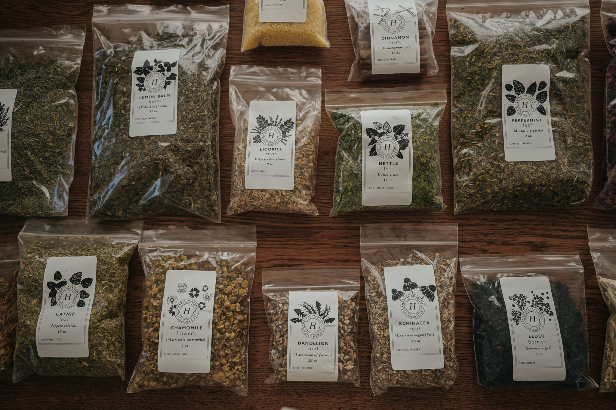 The Herbal Starter Kit – start using herbs today!