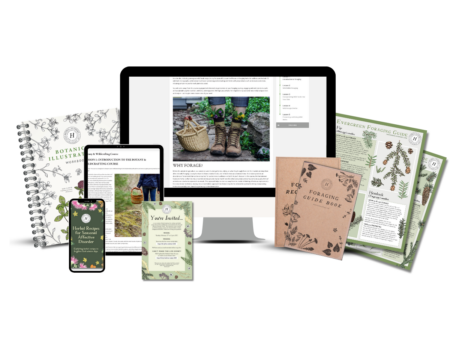 The Foraging Bundle – Herbal Academy