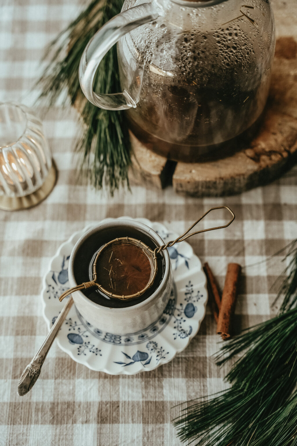 The Foraging Bundle – Herbal Academy