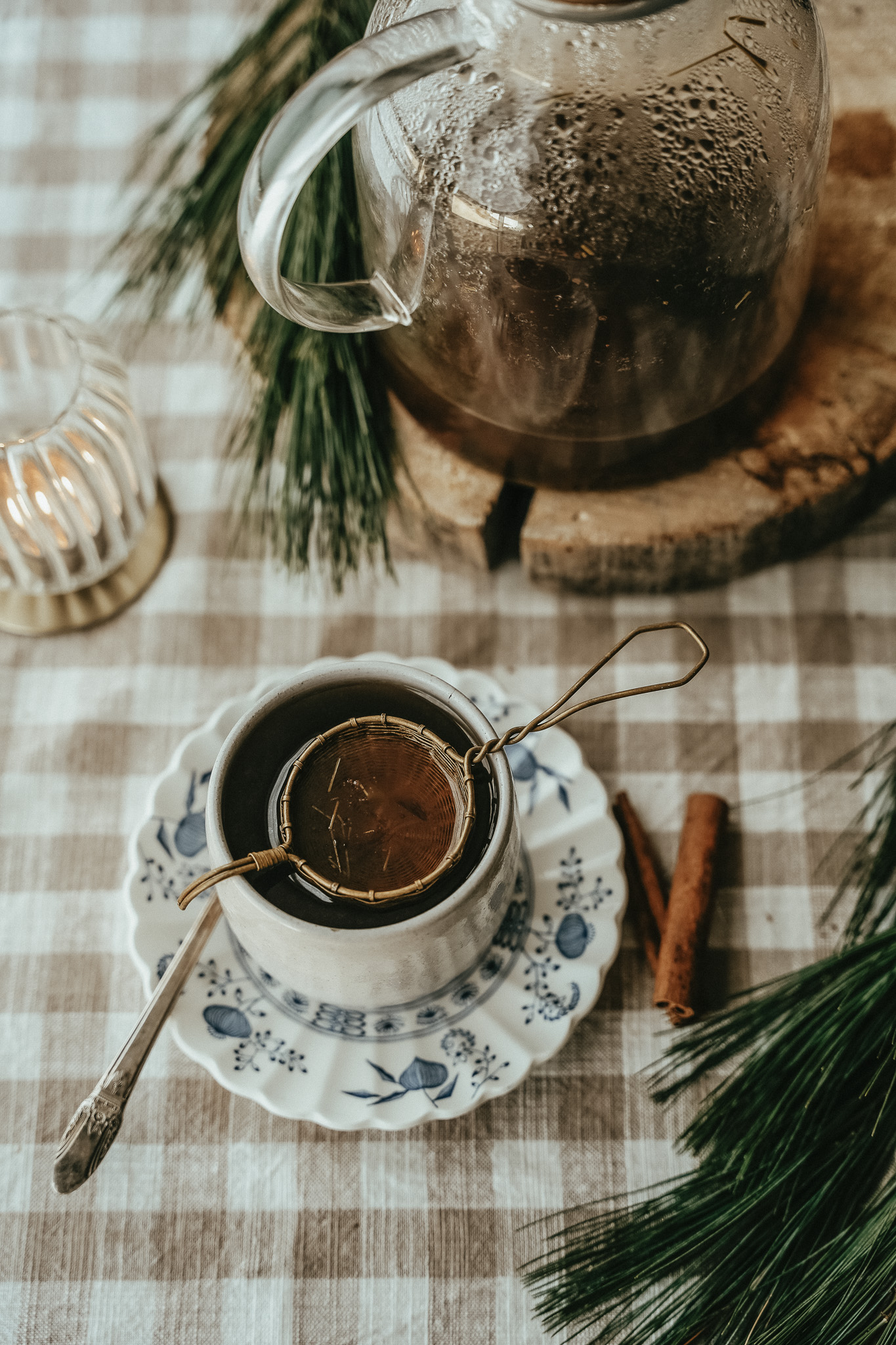 The Foraging Bundle – Herbal Academy