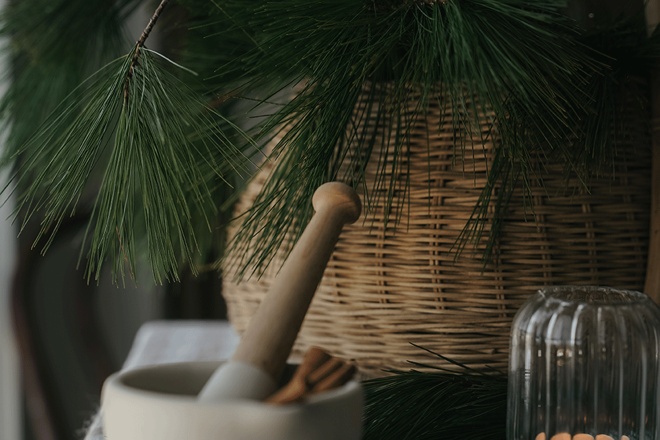 The Foraging Bundle – Herbal Academy