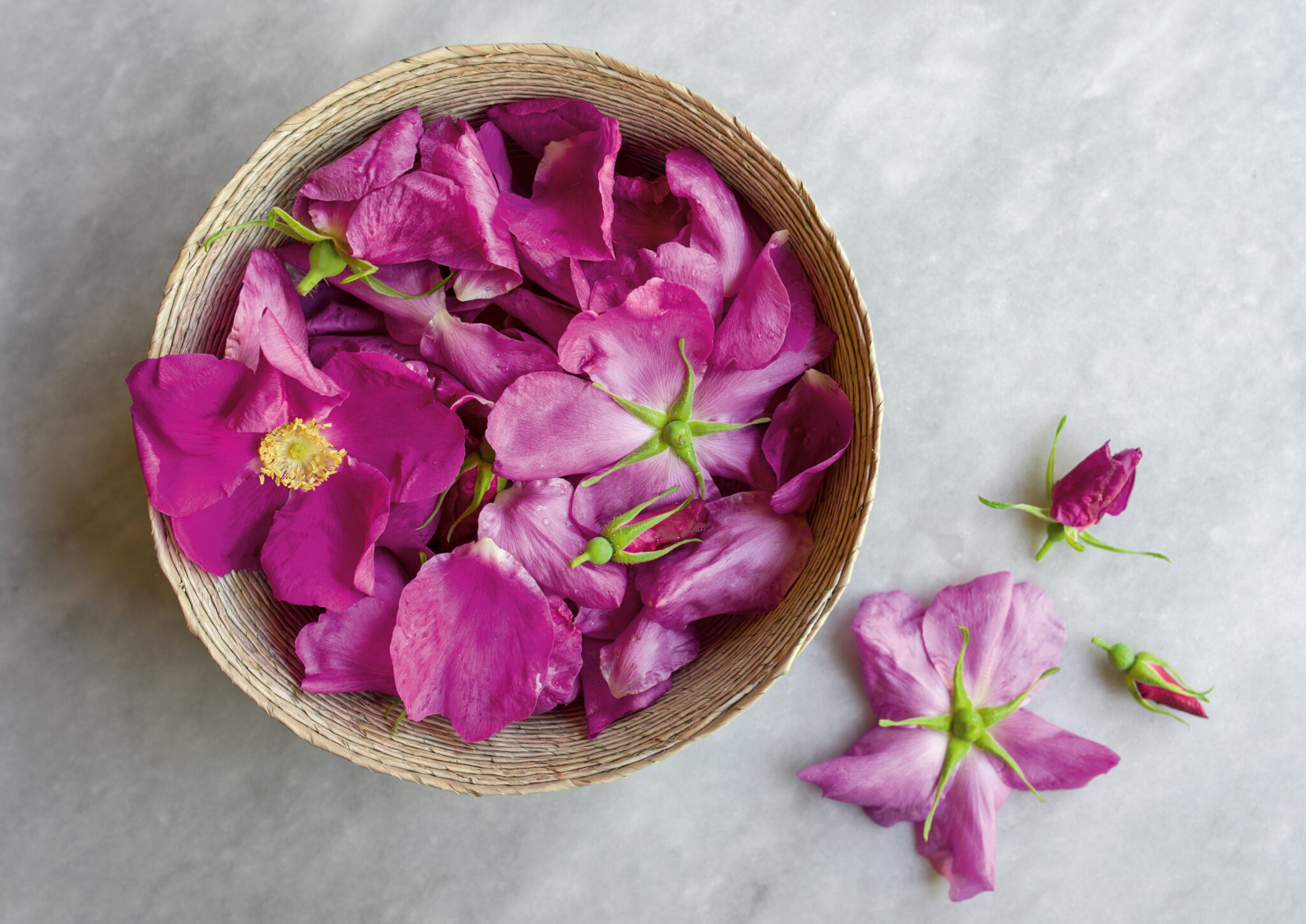 How to Choose Herbs for Sleep – Herbal Academy