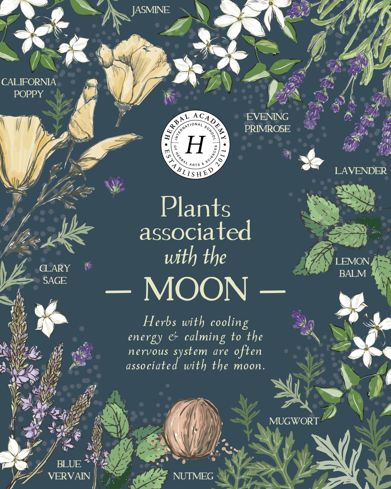 Lunar Herbalism: Plants Associated with the Moon – Herbal Academy