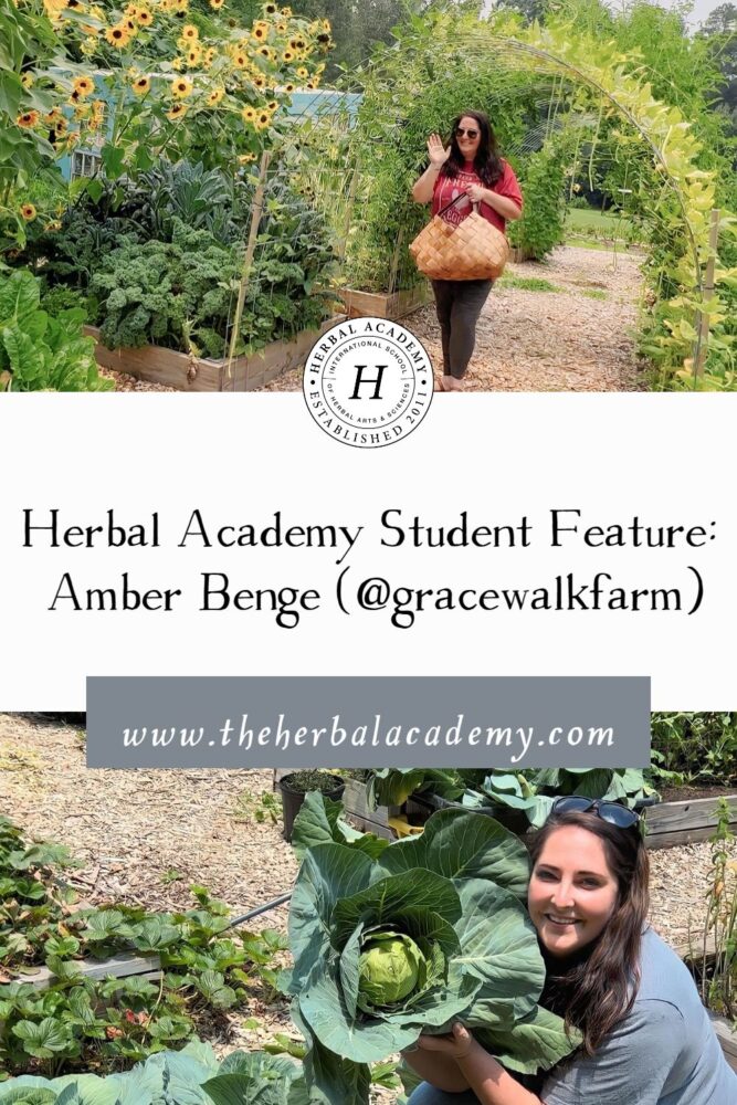 Herbal Academy Student Feature: Amber Benge (@gracewalkfarm) – Herbal ...