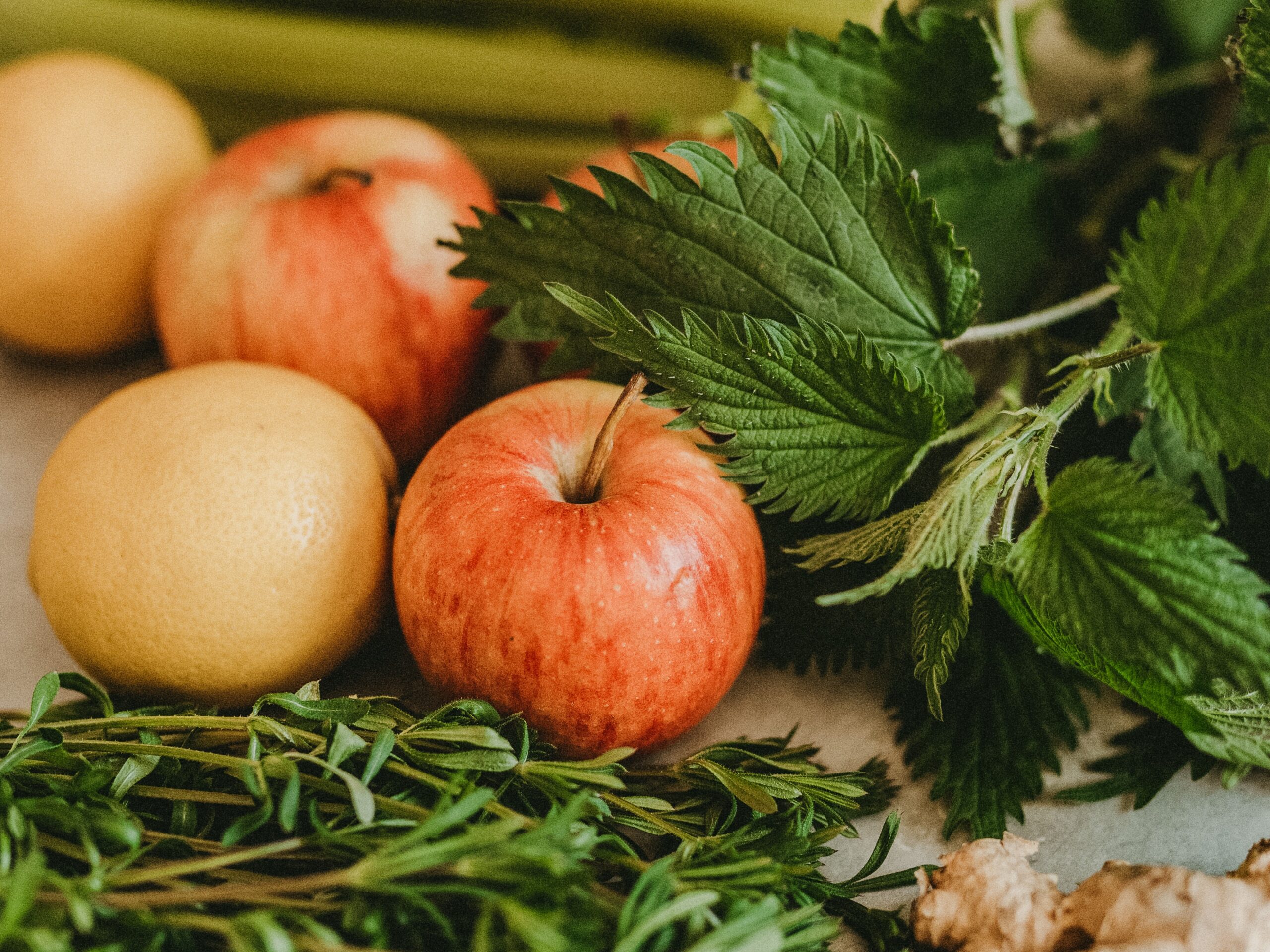 Evaluating Diet: Eat your Herbs – SUMMER HERBAL HEALTH SERIES CLASS 2 ...